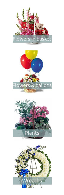 Flowers Syracuse Ny 🏵️ Mar 2026